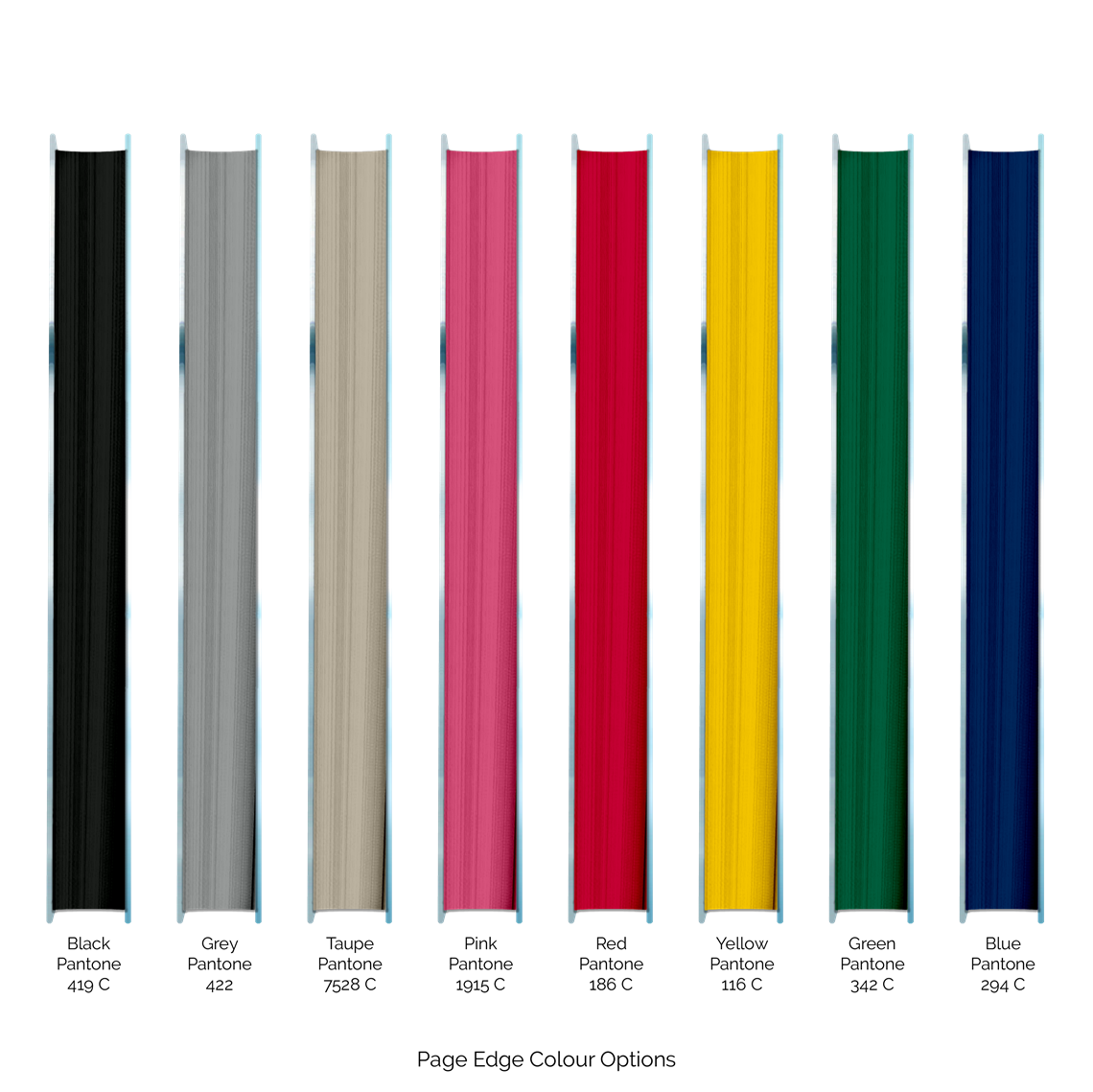 igoprint - A4 2024 Printed Diary